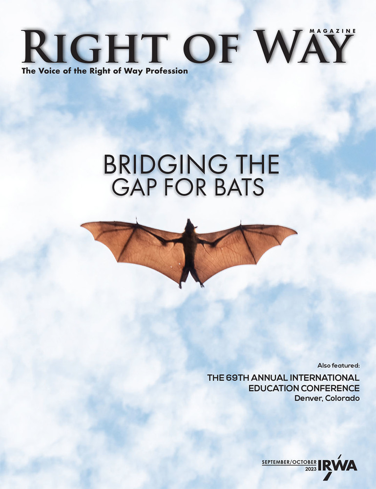 Leadership in a New World: Managing expectations post pandemic - Yasmin ...